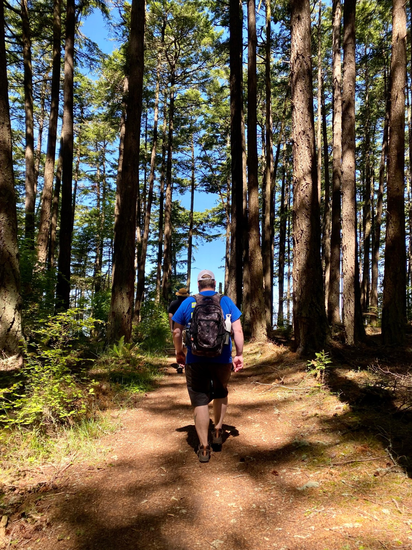 How to Spend a Long Weekend on Friday Harbor – Wanderland Jess