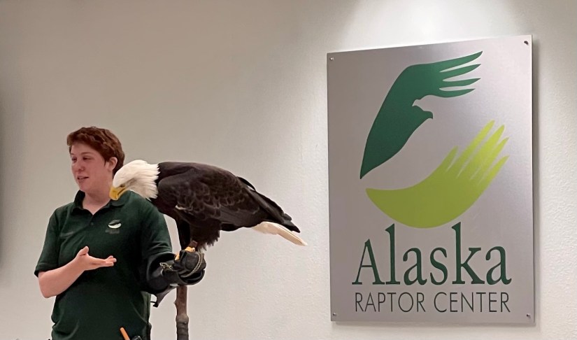 Alaskan Cruise: Dawes Glacier, Juneau, and Ketchikan – Wanderland Jess